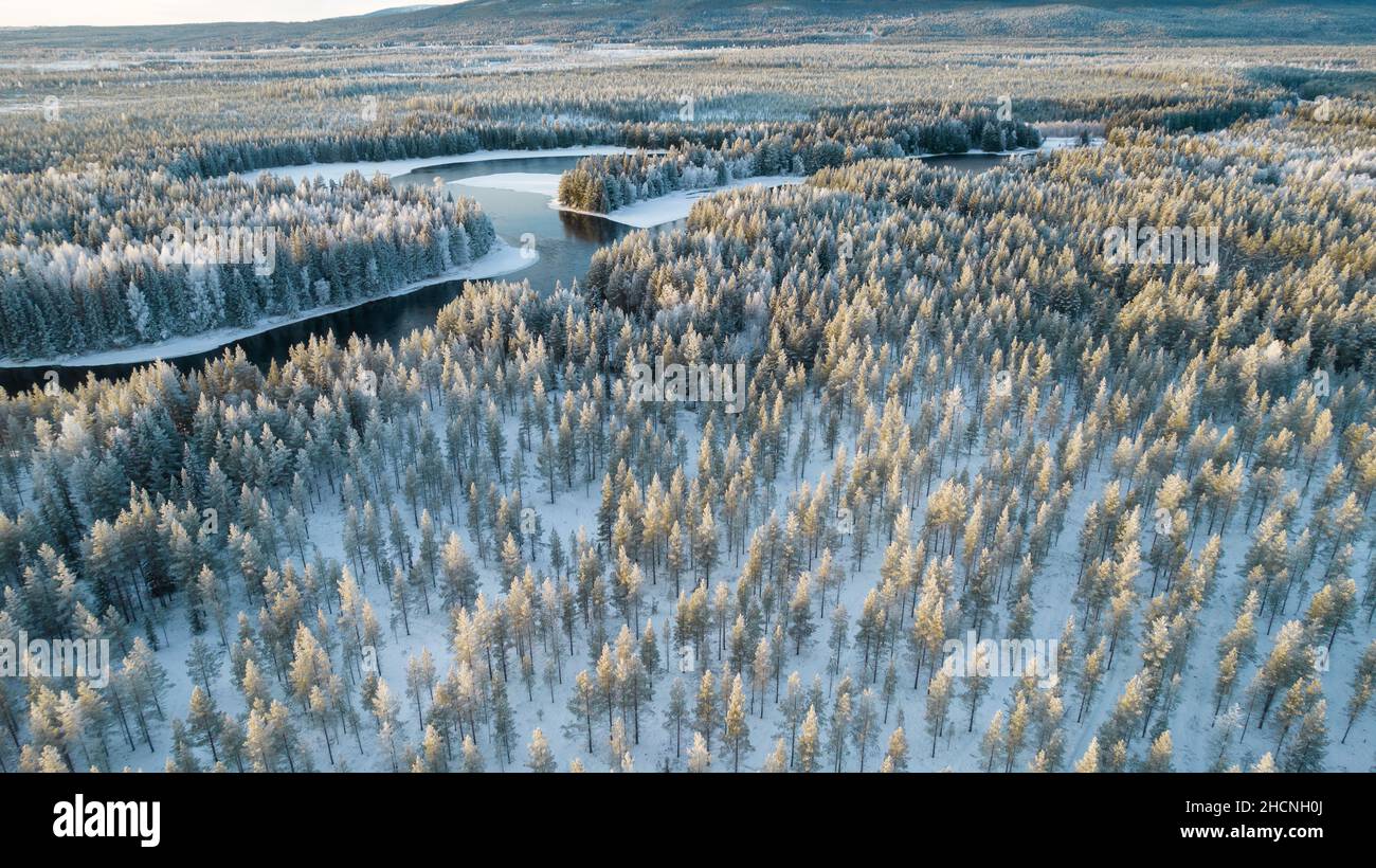 Aerial view of snowy winter forest with black river. Drone photography ...