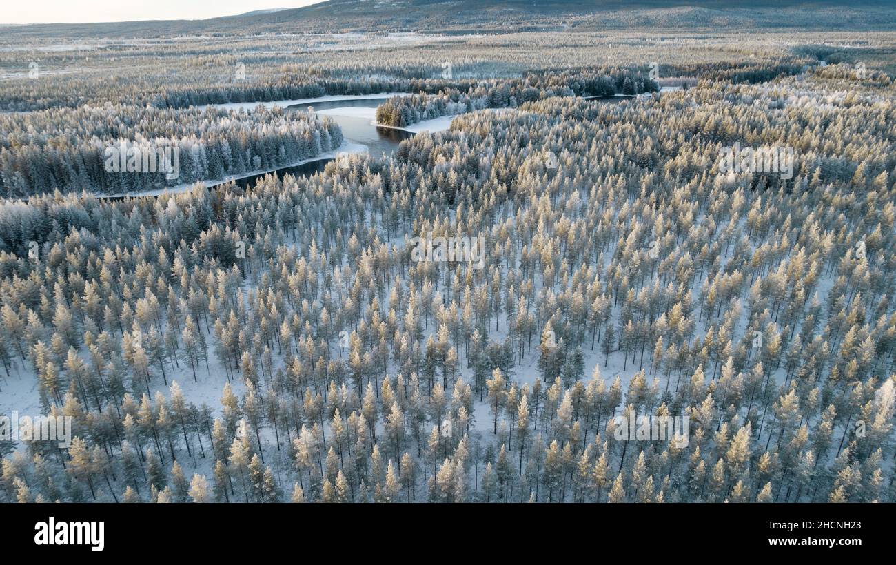 Aerial view of snowy winter forest with black river. Drone photography ...