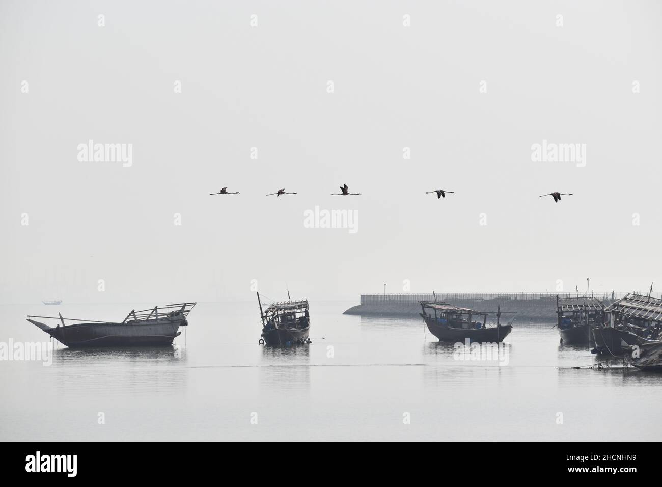 Flock of ship hi-res stock photography and images - Alamy