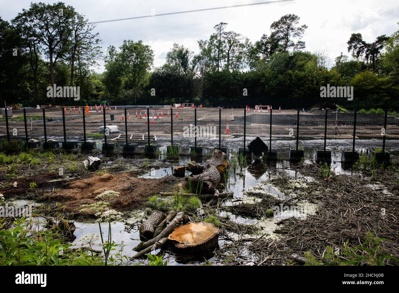 Denham, UK. 9th July, 2021. A general view of an area cleared of trees ...