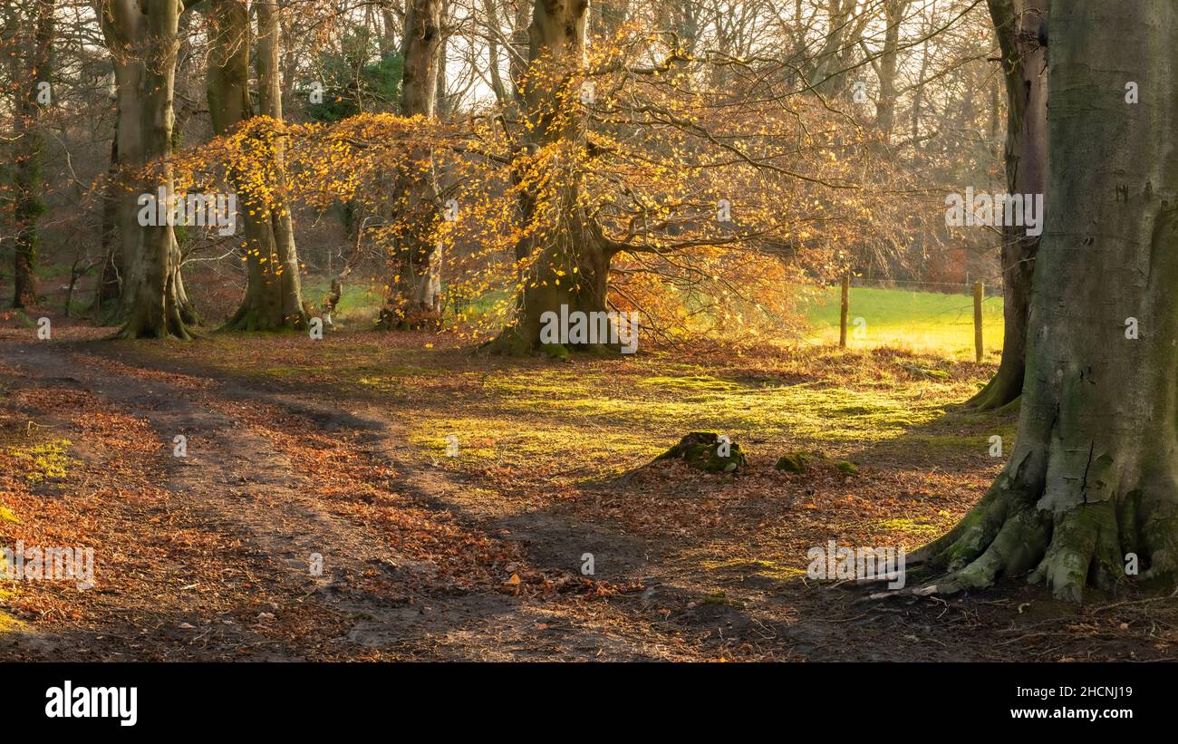 Clandeboye hi-res stock photography and images - Alamy