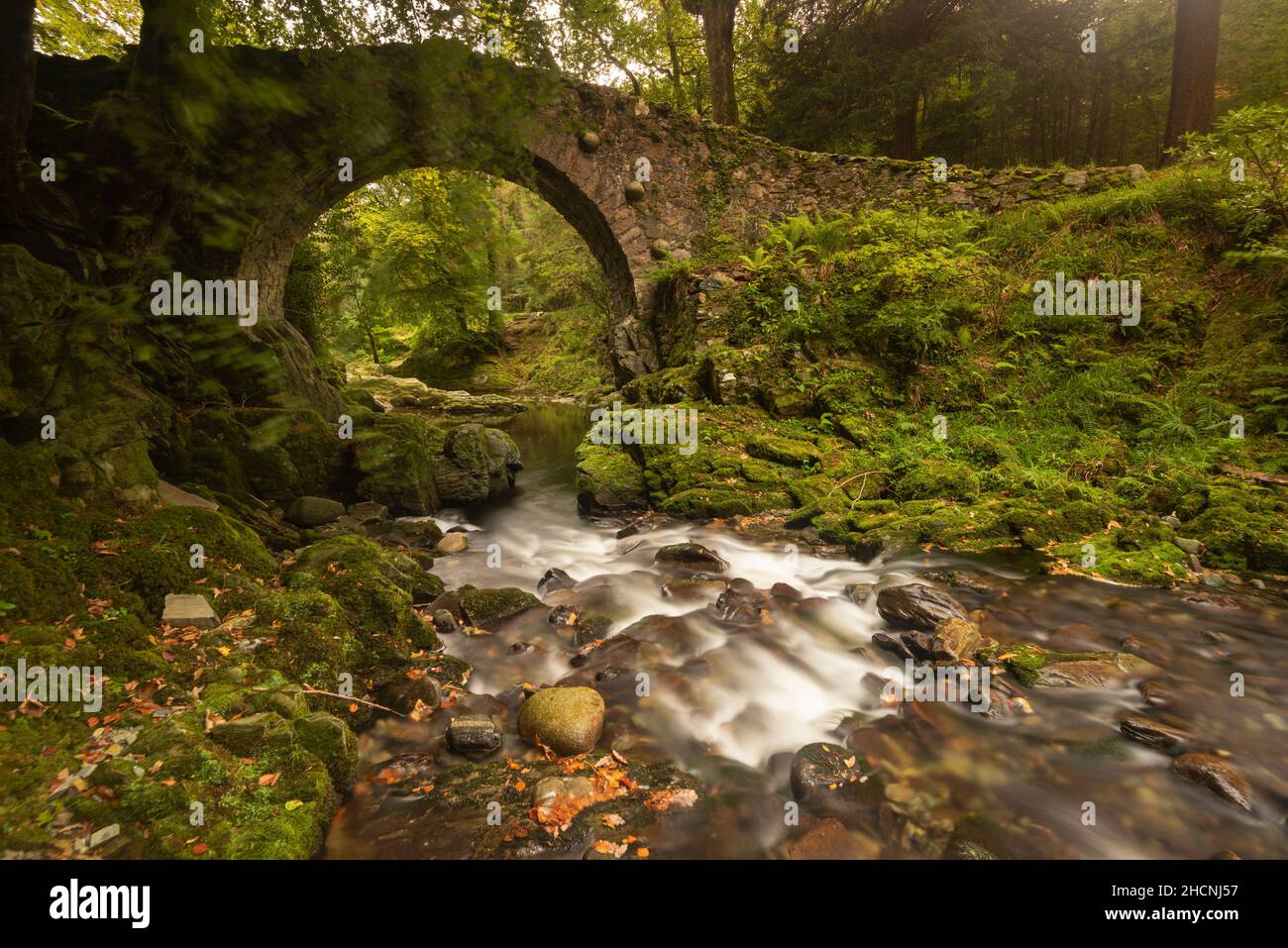 Foley’s bridge hi-res stock photography and images - Alamy