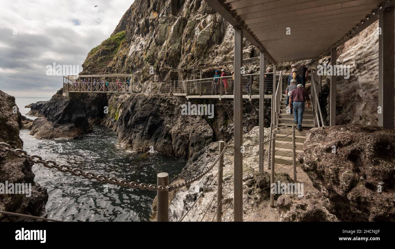 Gobbins cliffs path northern ireland hi-res stock photography and ...