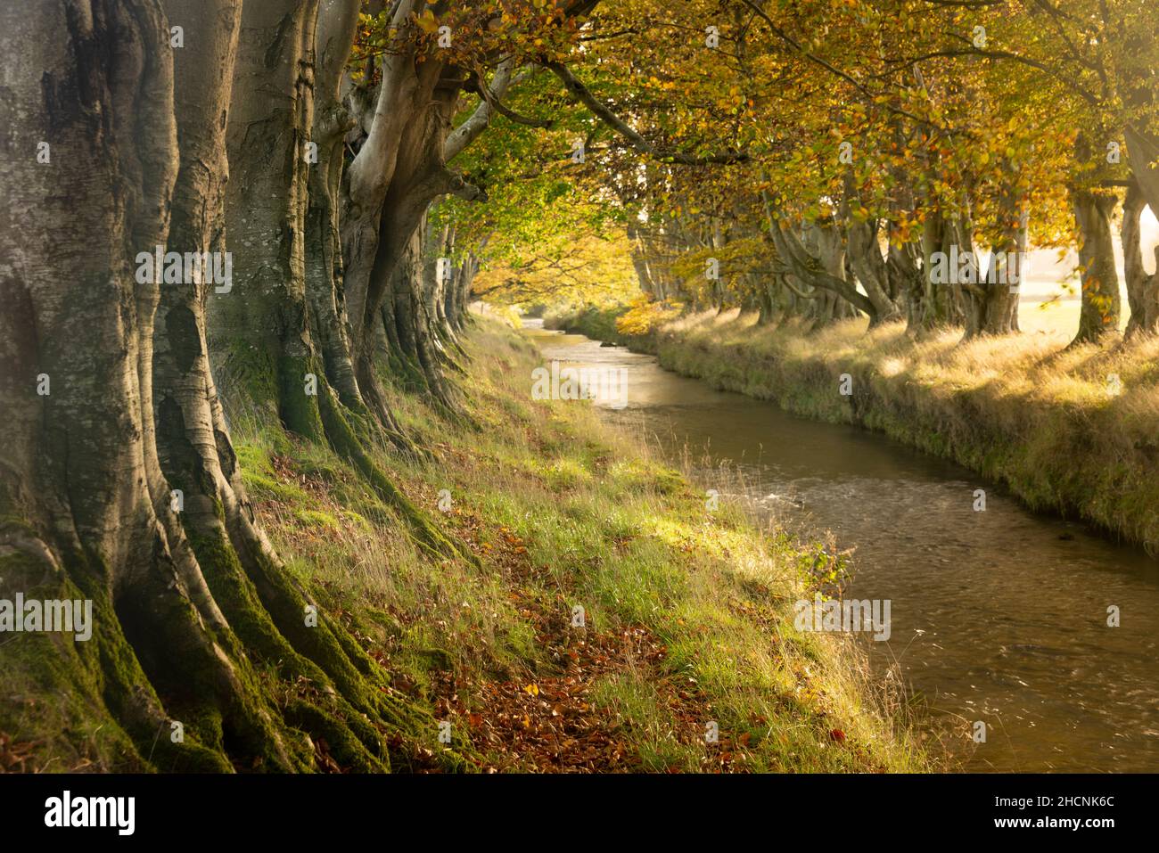 Templepatrick hi-res stock photography and images - Alamy