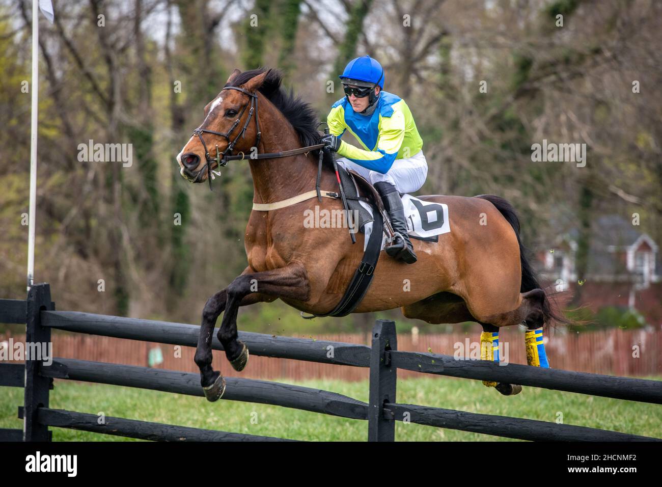 Steeplechase rider hi-res stock photography and images - Alamy