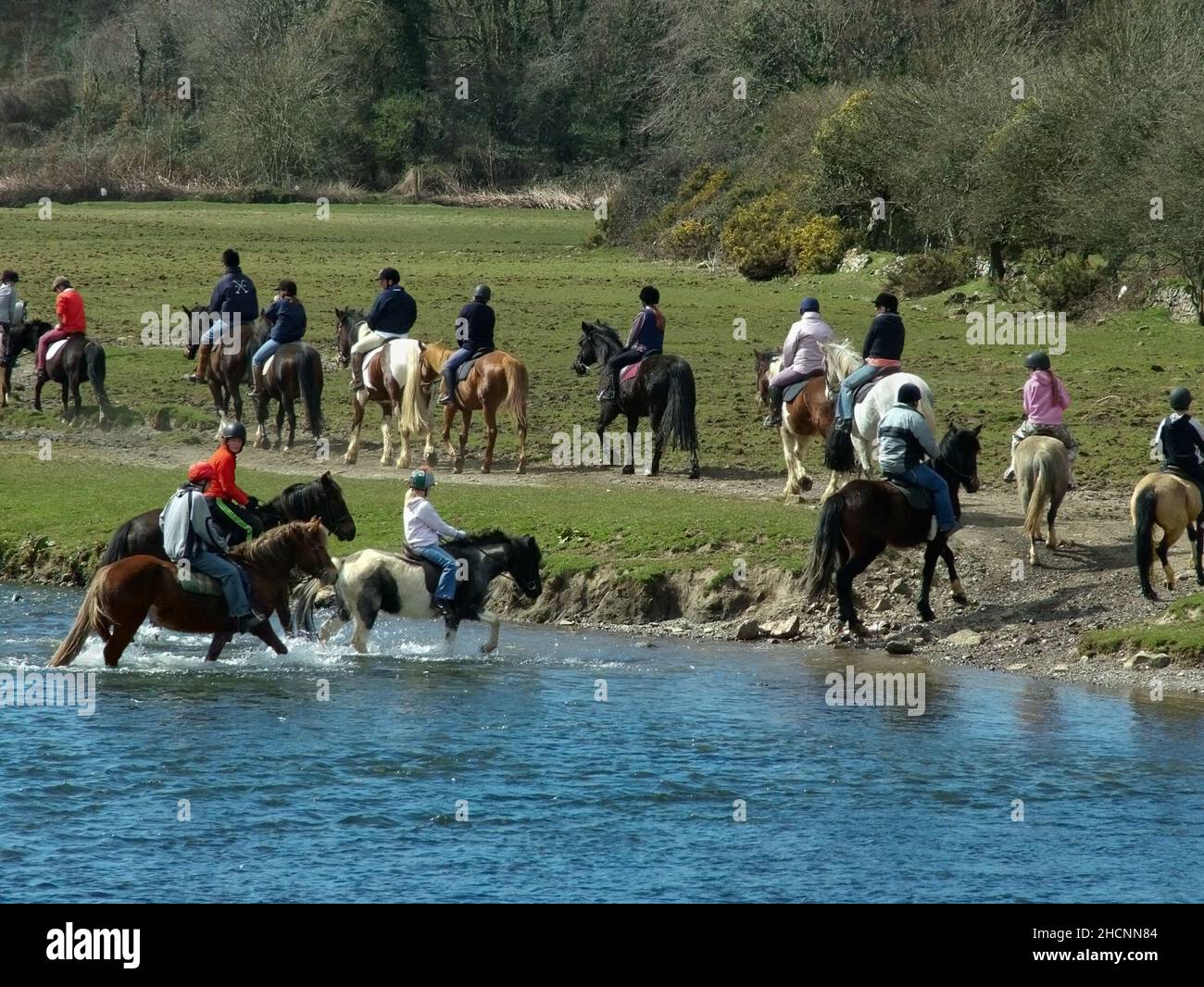 People riding horses across the Ewenny River at Ogmore near Bridgend in ...