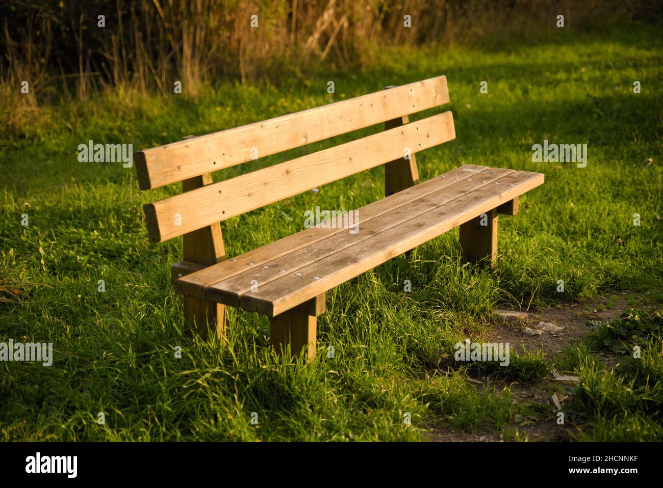 Grassy park hi-res stock photography and images - Alamy