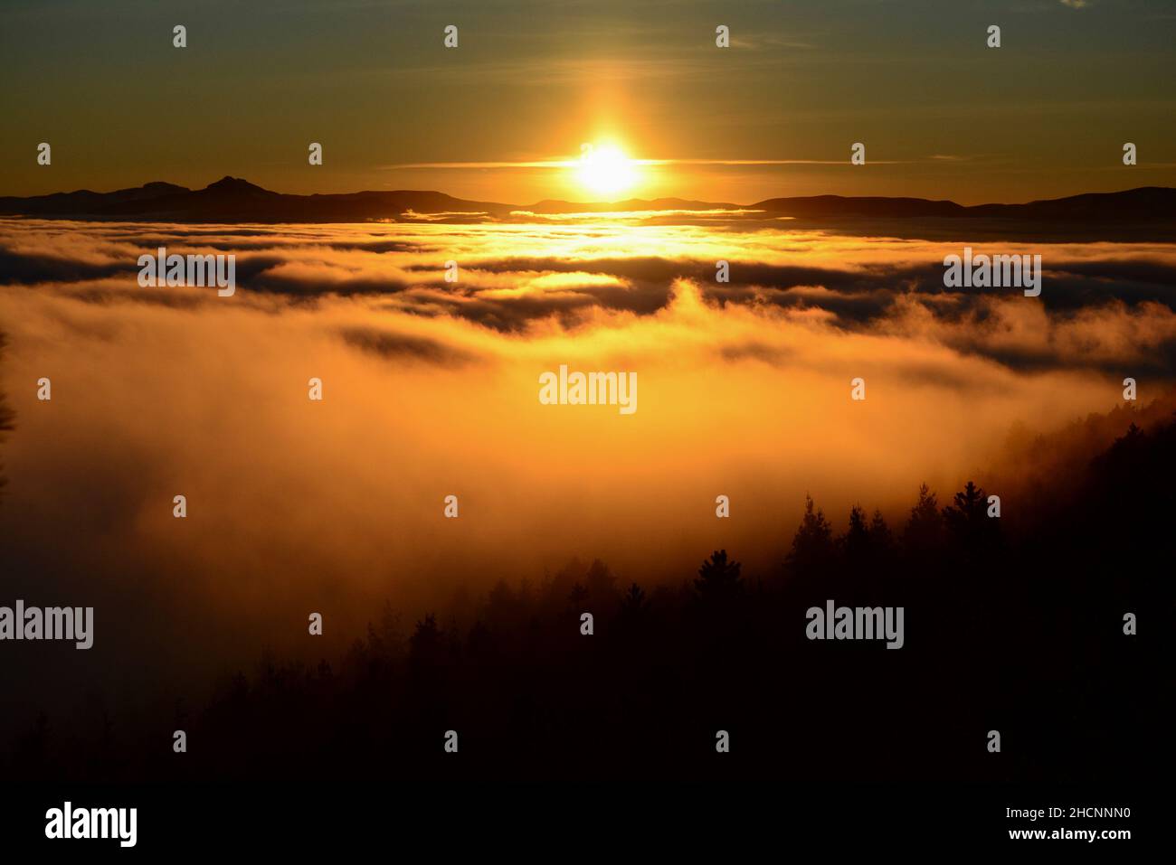 Mountain range orange trees hi-res stock photography and images - Alamy