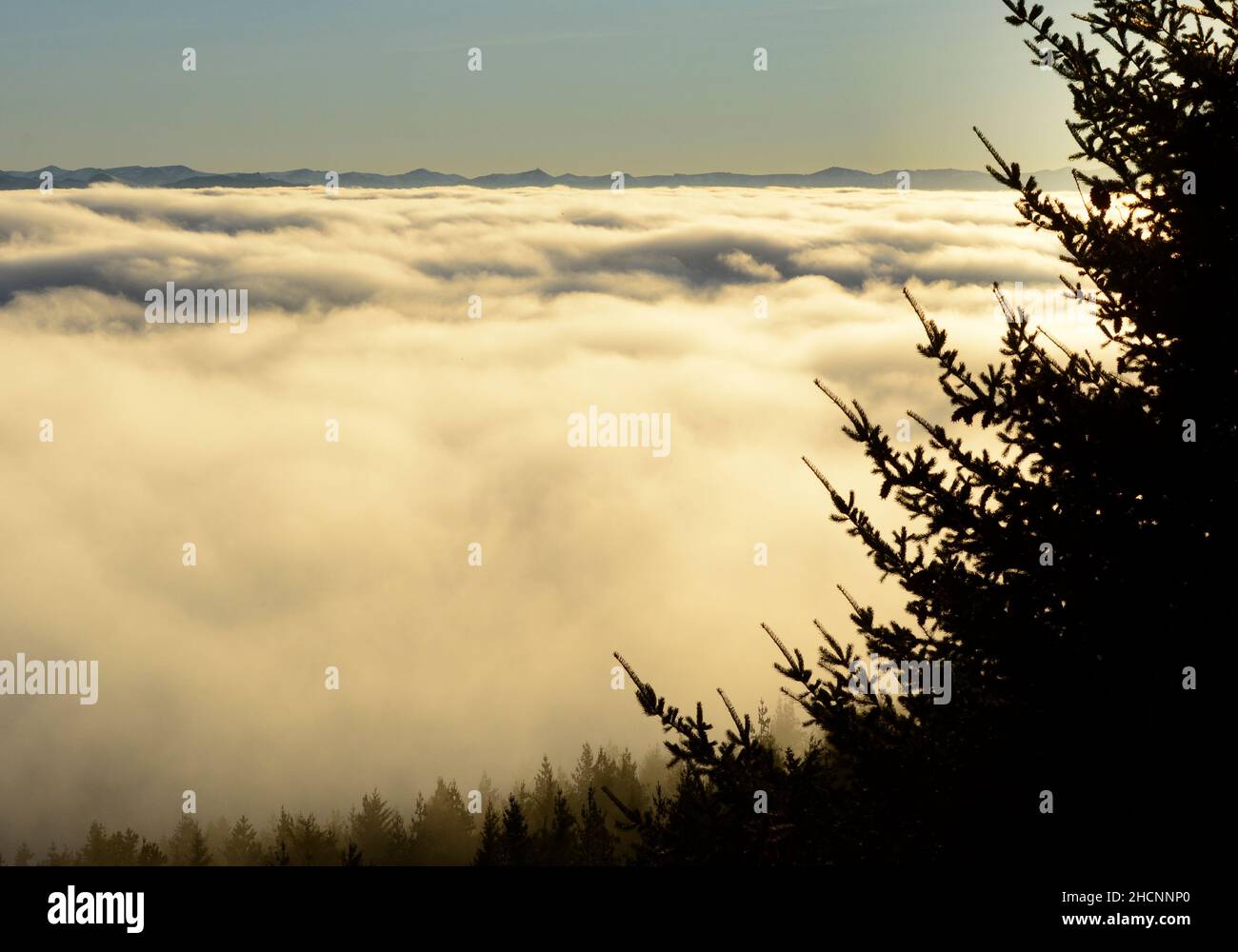 horizon of clouds, with pine mountains, high mountain landscape on otto ...