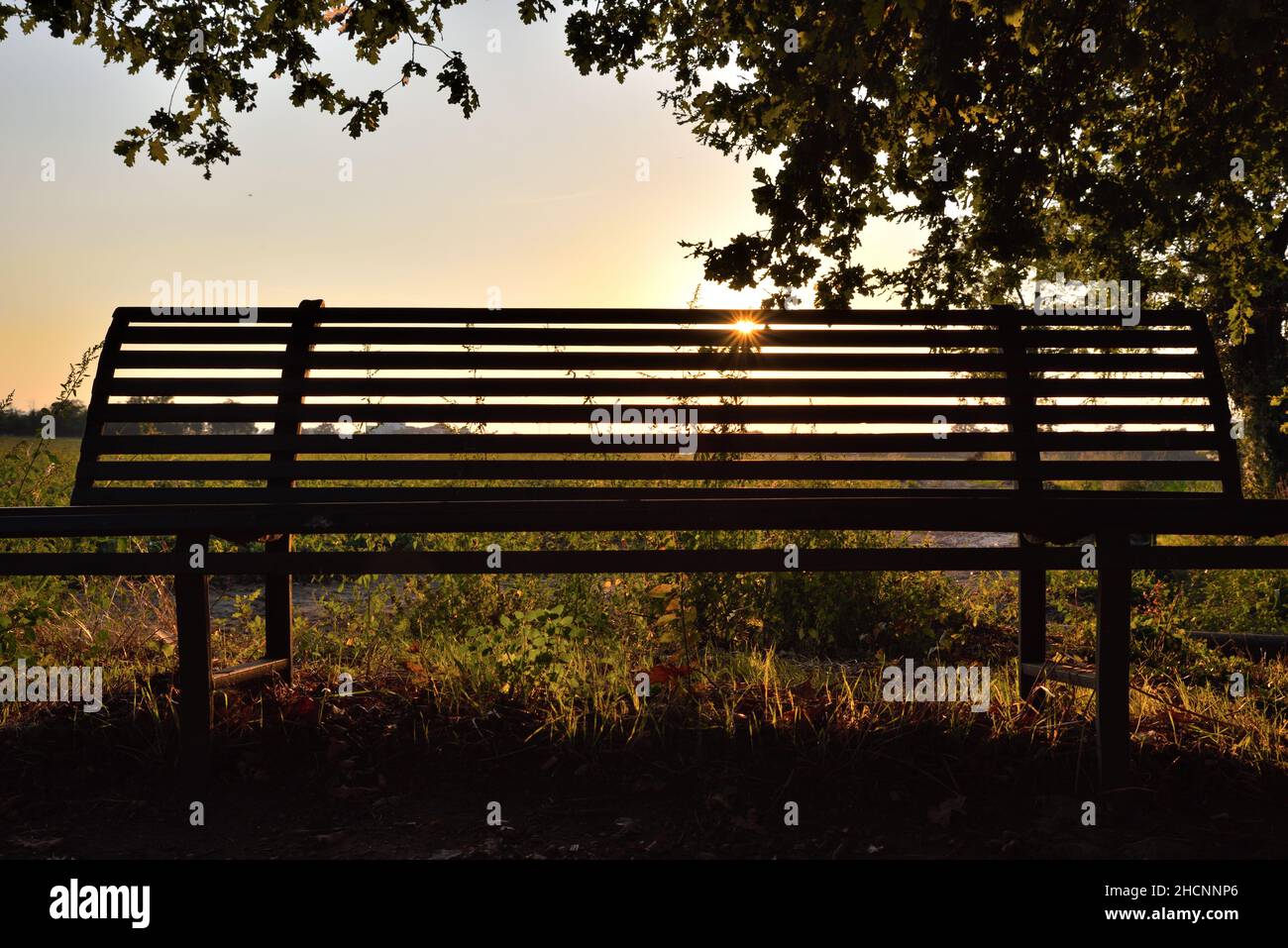 Outdoor bench on grassy hi-res stock photography and images - Alamy