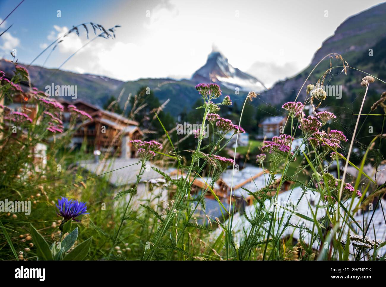 Scenic view of The Matterhorn peak from Zermatt village, with colorful ...