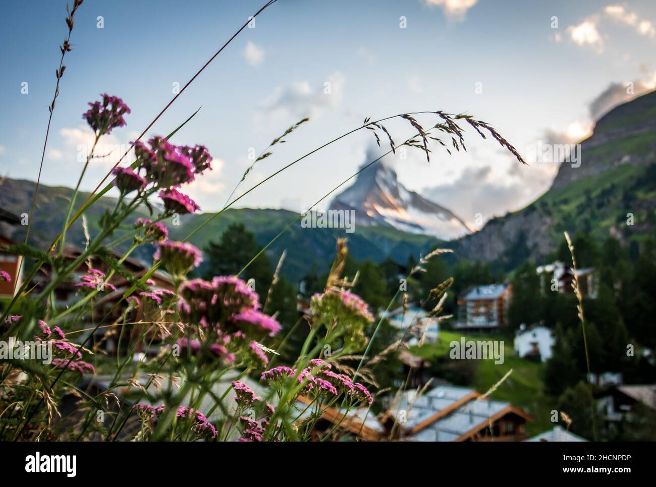 Scenic view of The Matterhorn peak from Zermatt village, with colorful ...