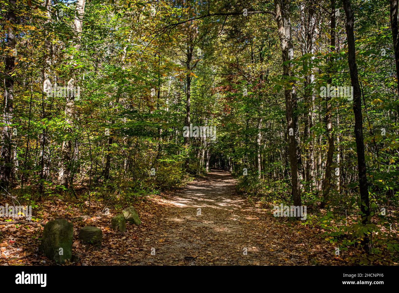 Trees along the Ledges Trail during Autumn leaf color change at ...