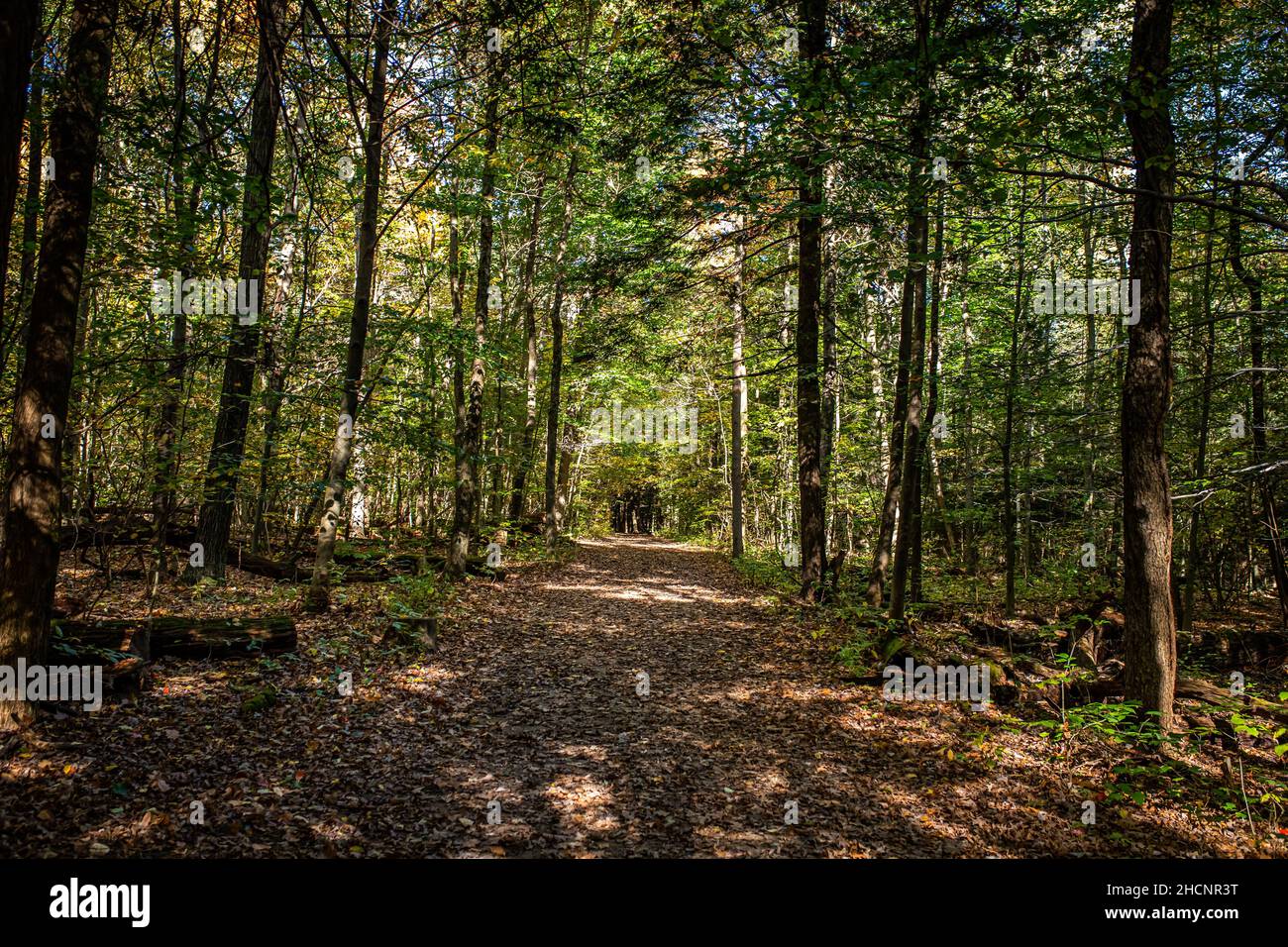 Trees along the Ledges Trail during Autumn leaf color change at ...