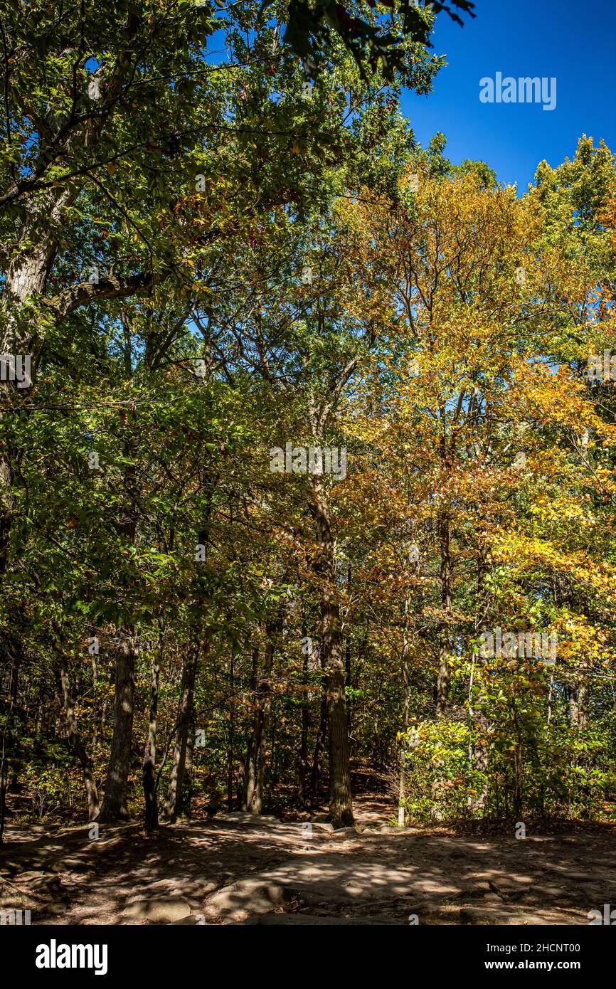 Trees along the Ledges Trail during Autumn leaf color change at ...