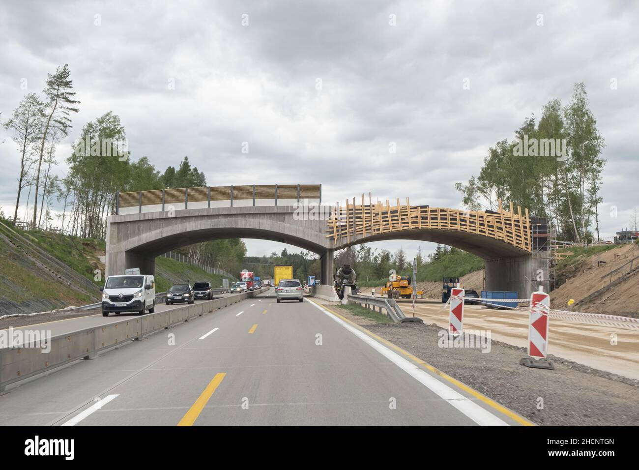 Animals road cross bridges hi-res stock photography and images - Alamy