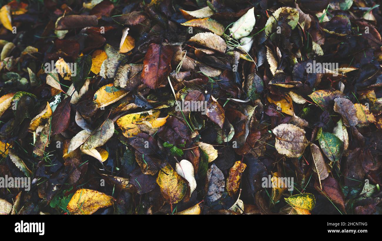 Moisture cycle hi-res stock photography and images - Alamy