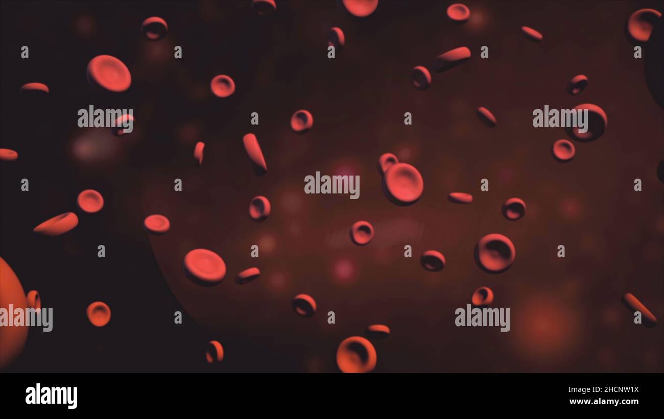 3d animation of red blood cells flowing through artery. Animation of ...