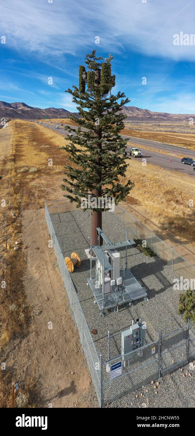 Morrison, Colorado - A communications tower, disguised as a tree, in ...