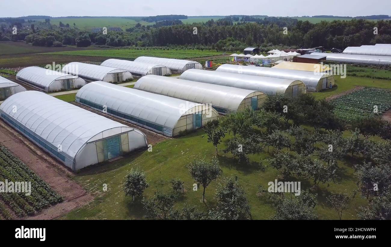 Birds Eye View of the vegetable Fields and Agricultural Parcel. Aerial ...
