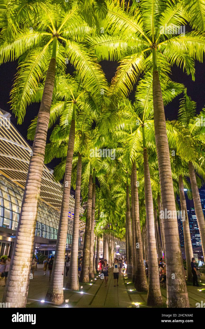 Palm trees at marina bay hi-res stock photography and images - Alamy