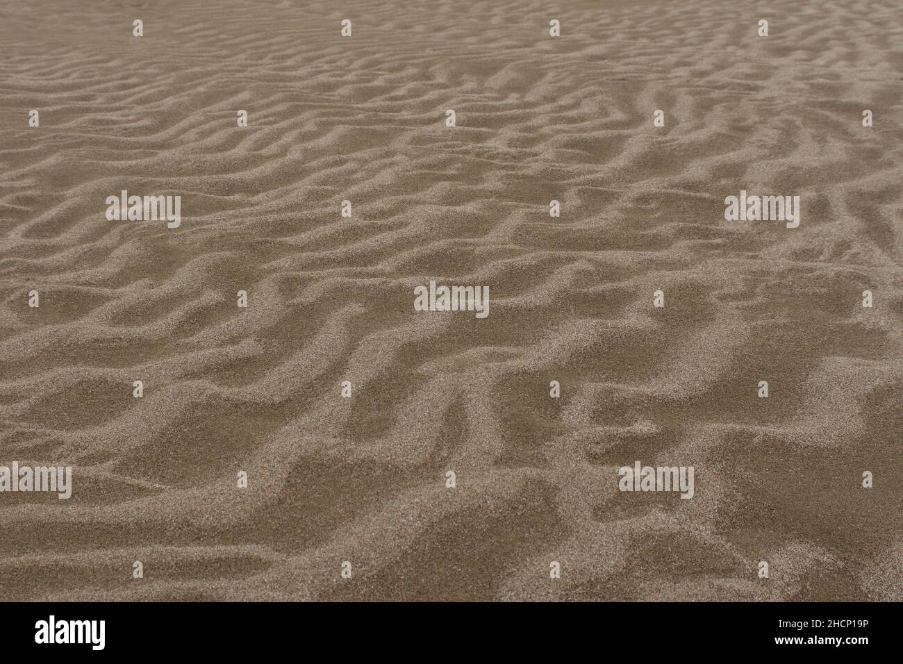 Aerial view of sand dunes on an empty beach during the sunny day Stock ...