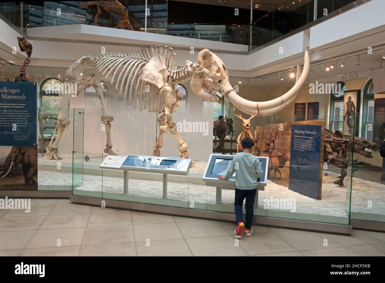 The Natural History Museum in downtown Los Angeles, California Stock ...