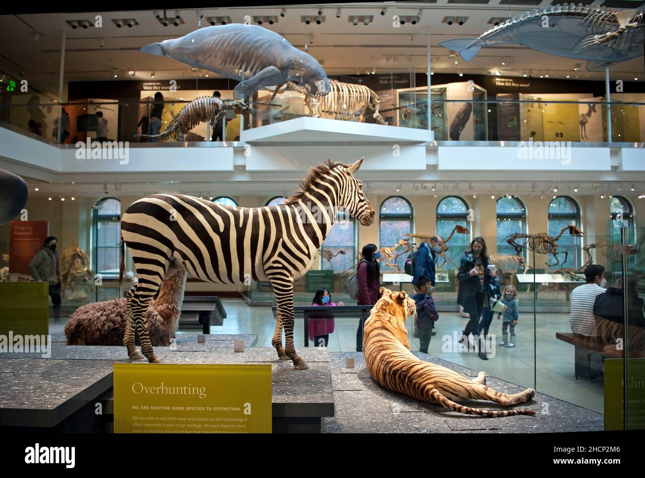 The Natural History Museum in downtown Los Angeles, California Stock ...