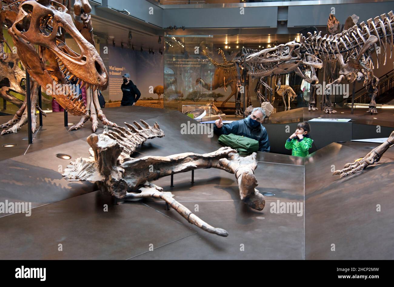 The Natural History Museum in downtown Los Angeles, California Stock ...