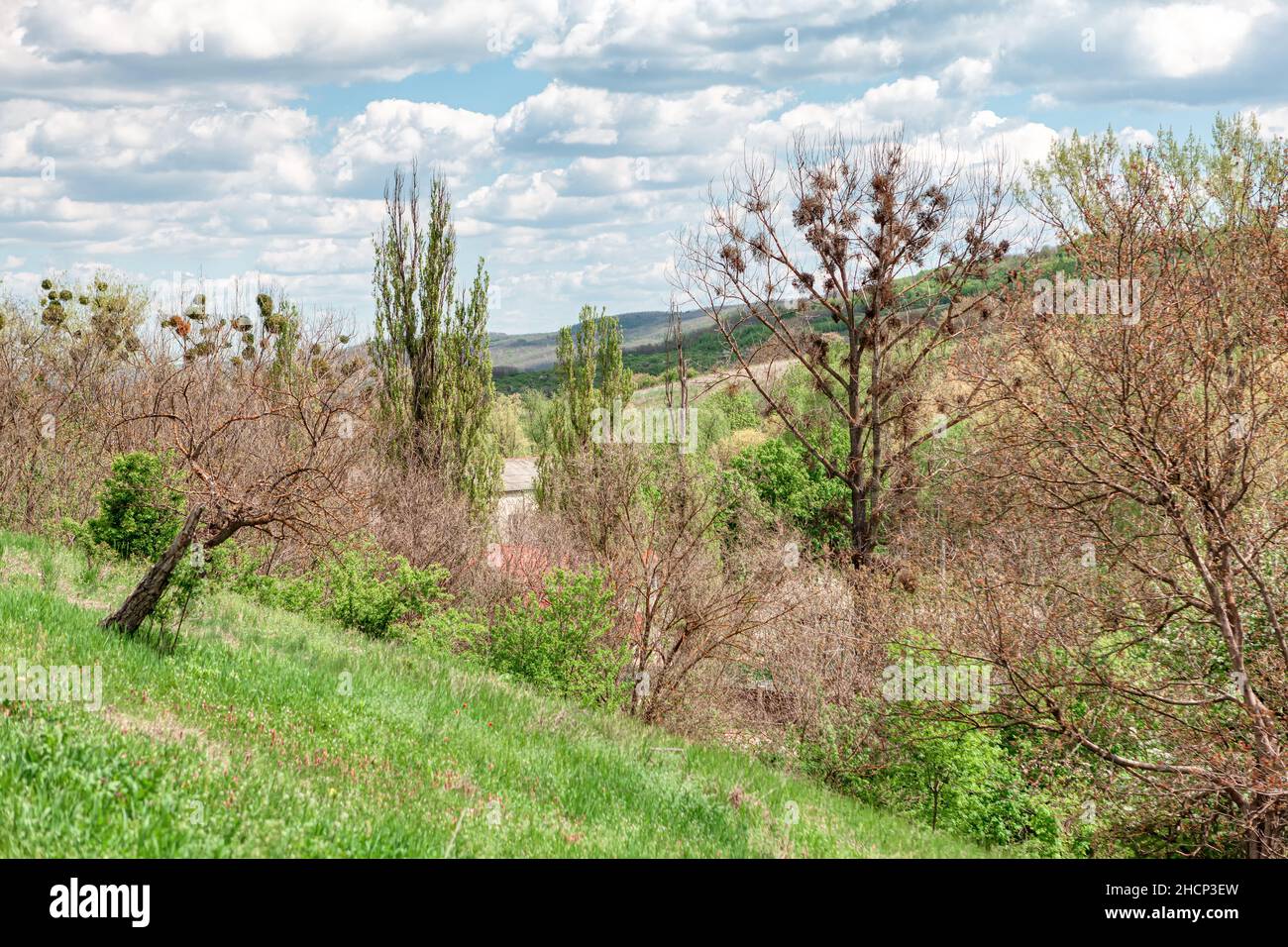 Uncultivated land hi-res stock photography and images - Alamy