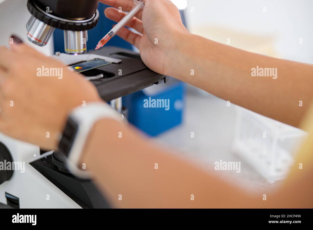 Female veterinarian doing laboratory research in clinic Stock Photo - Alamy