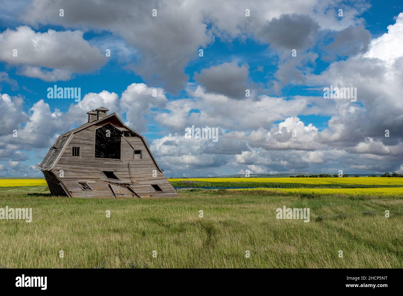 Saskatchewan farm canola hi-res stock photography and images - Alamy