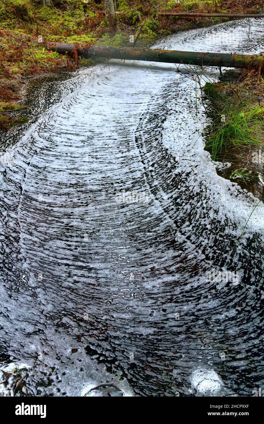 Forest miracle. The quiet forest stream is covered with a ribbed cross ...