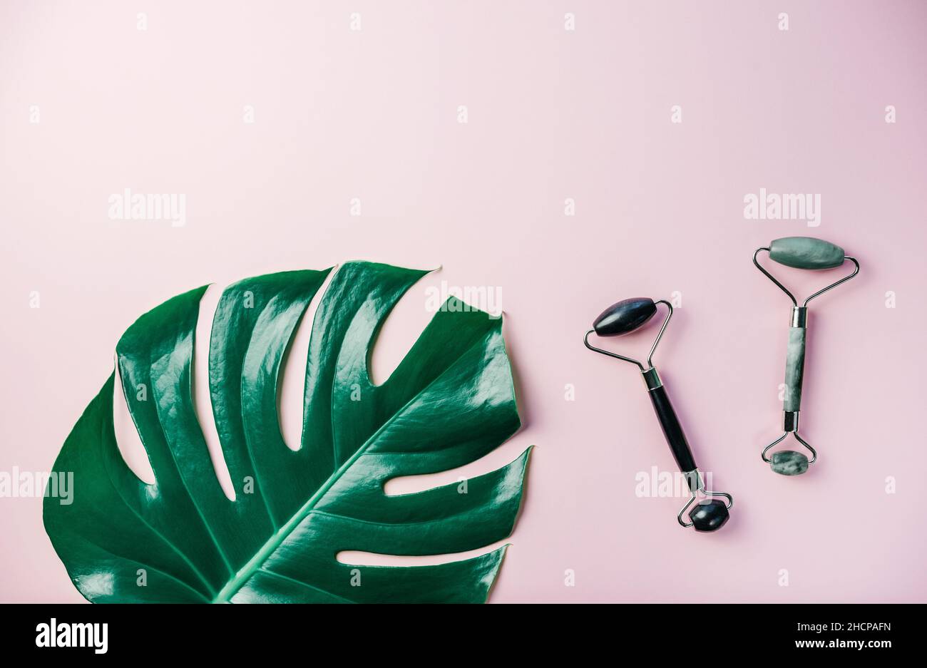 Gua sha facial massage rollers and tropical monstera leaf on pink ...