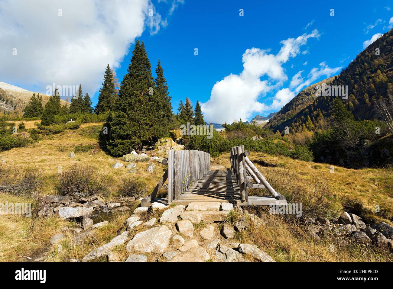 Small wooden bridge of a trekking footpath in the National Park of ...