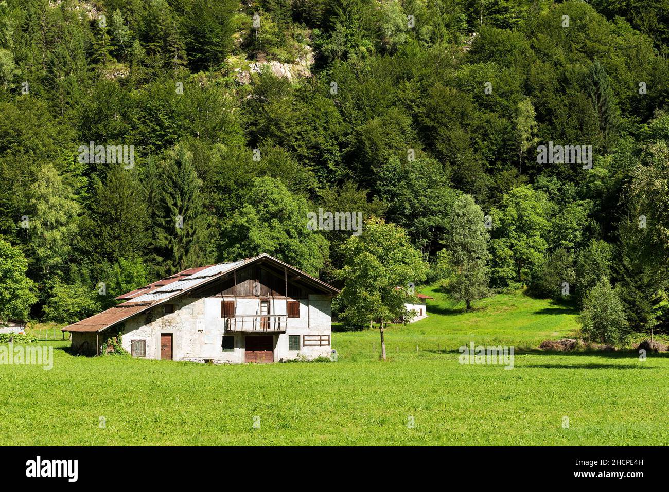 Typical old farm house with barn in mountain. Alps, Trento province ...