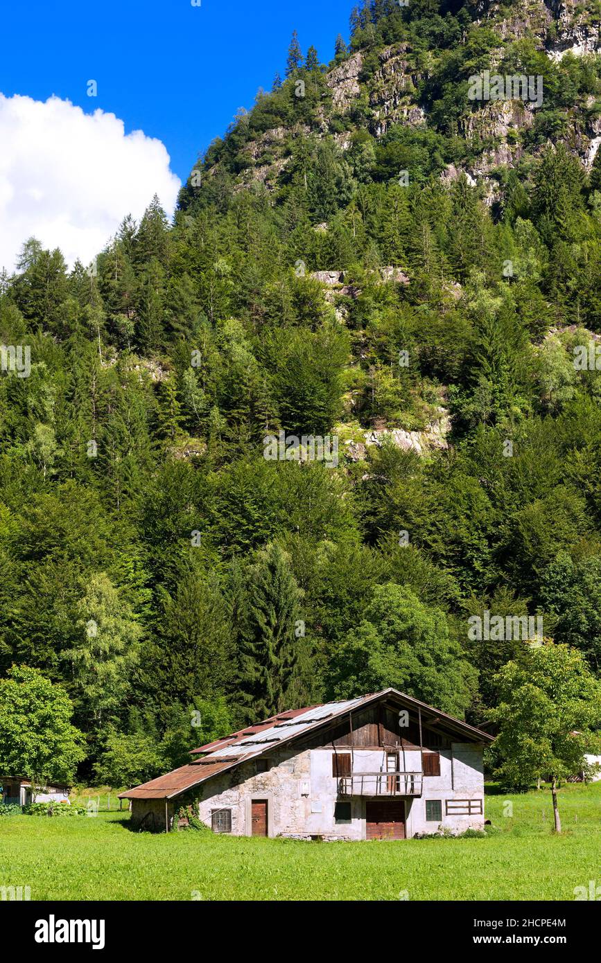 Typical old farm house with barn in mountain. Alps, Trento province ...