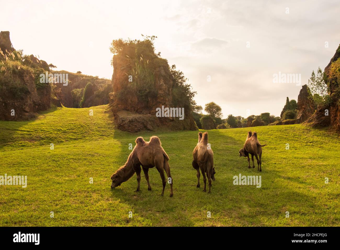 the nature park Cabarceno, navarra carbaceno, navarra natural park ...