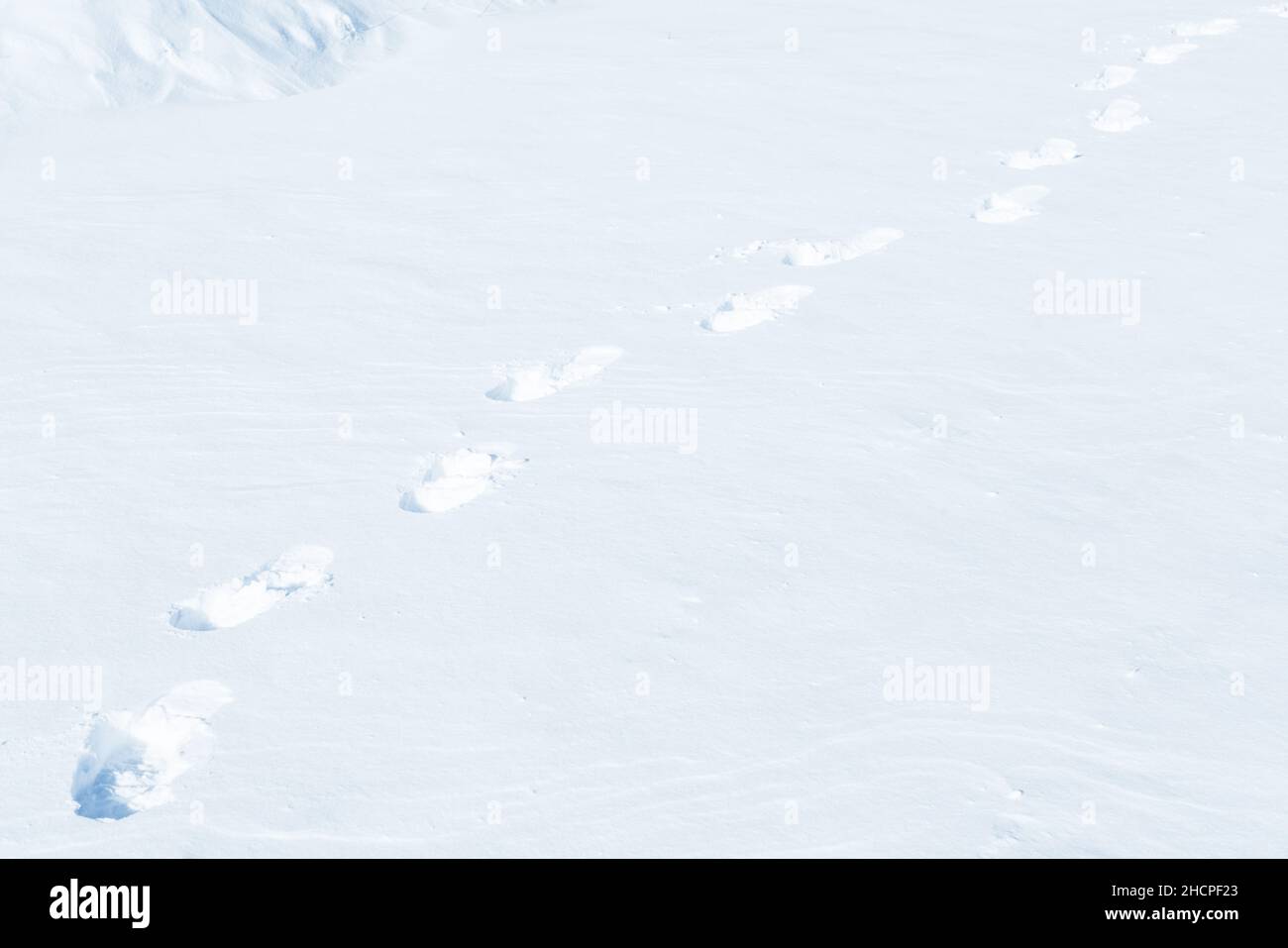 Human footprints in the snow hi-res stock photography and images - Alamy