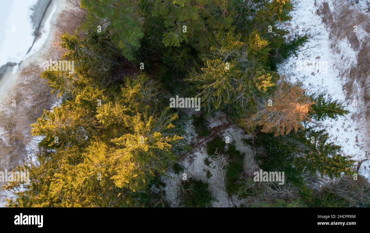 Aerial view of little Swedish village with islands and forests on a ...