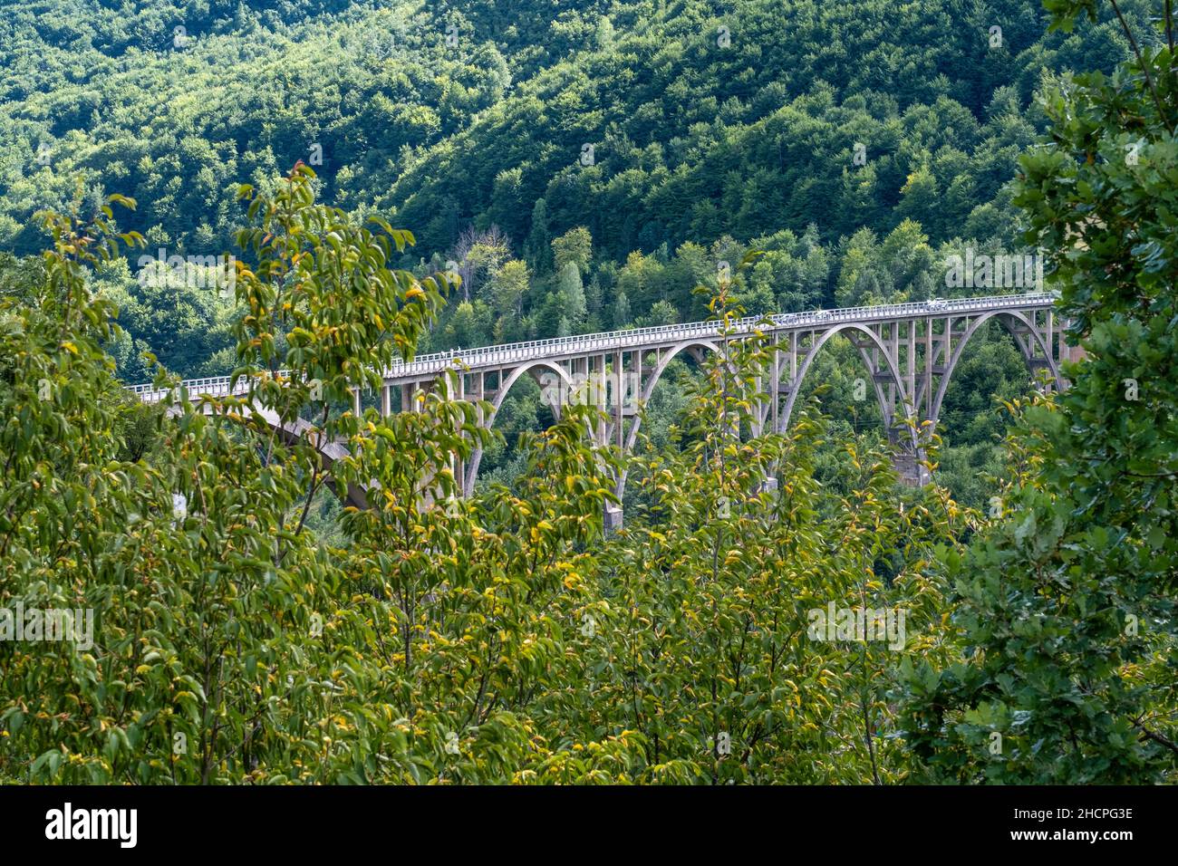 Durmitor National Park is located in northwestern Montenegro within the ...