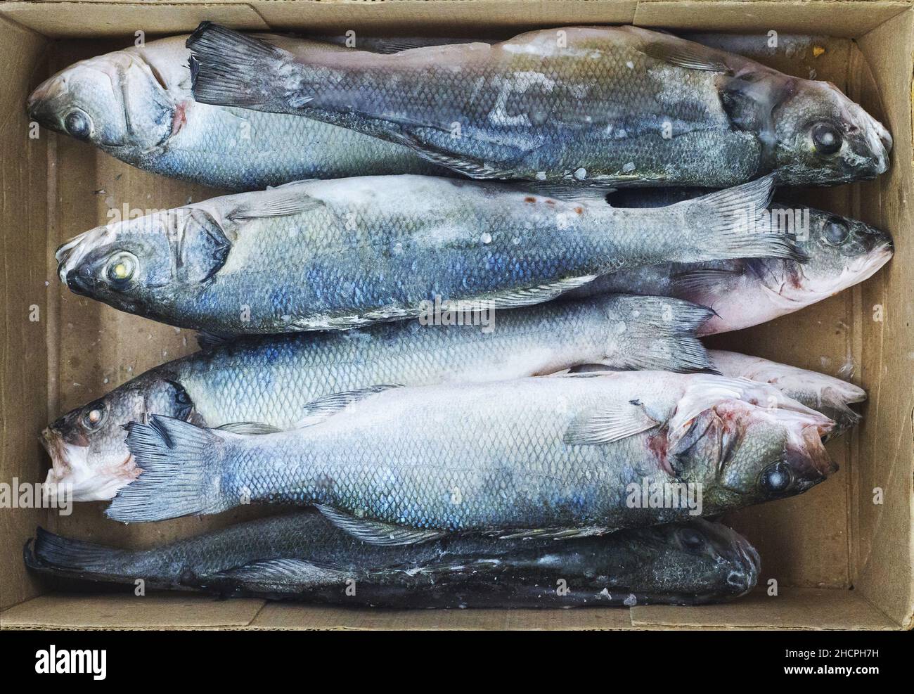 Frozen fish and bulk hi-res stock photography and images - Alamy