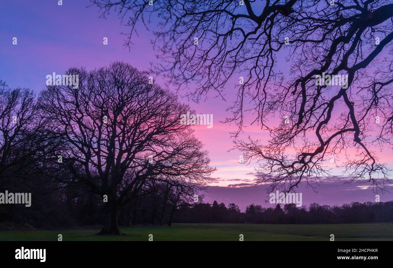 Sunset on Southampton Common Stock Photo - Alamy