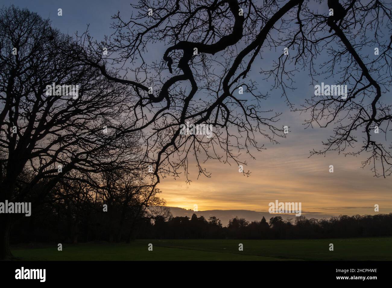Sunset on Southampton Common Stock Photo - Alamy