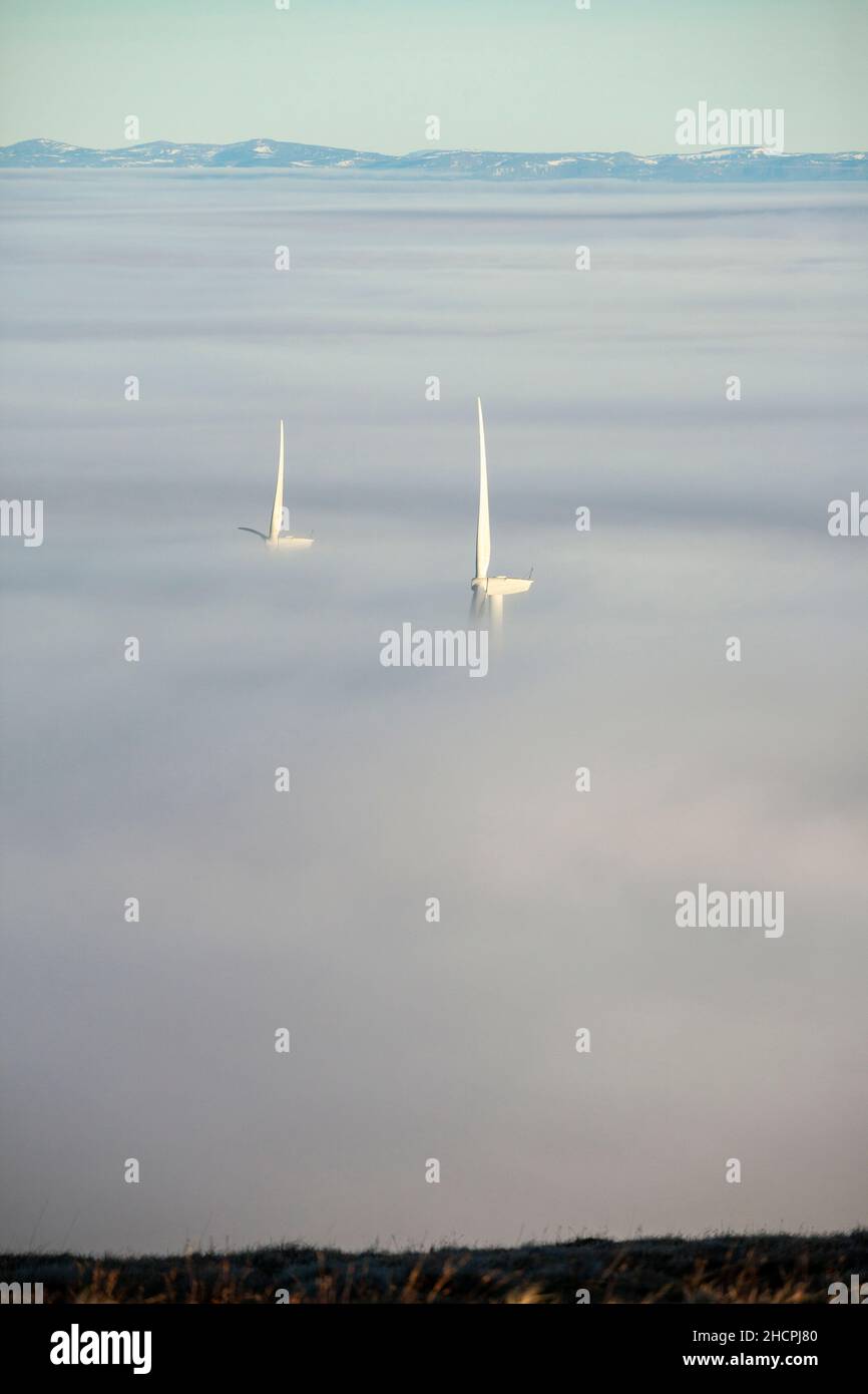 Wind turbines sticking out of clouds caused by a temperature inversion ...