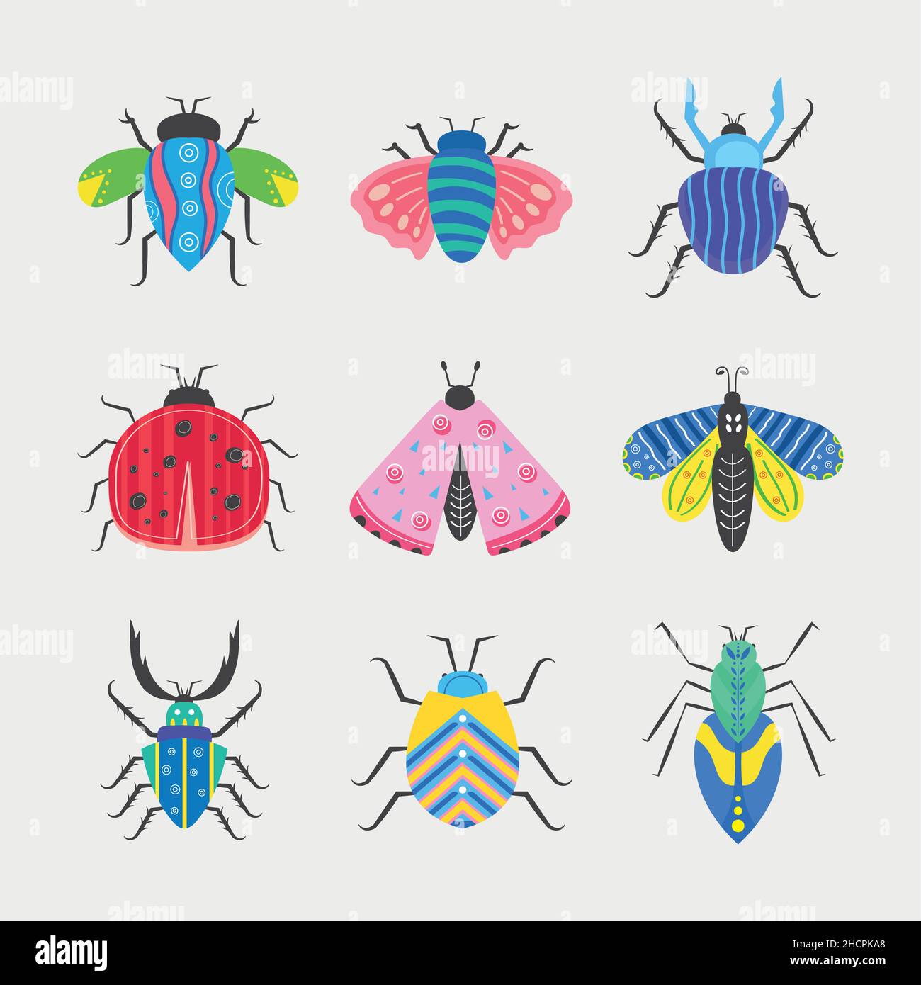 Nine insects hi-res stock photography and images - Alamy