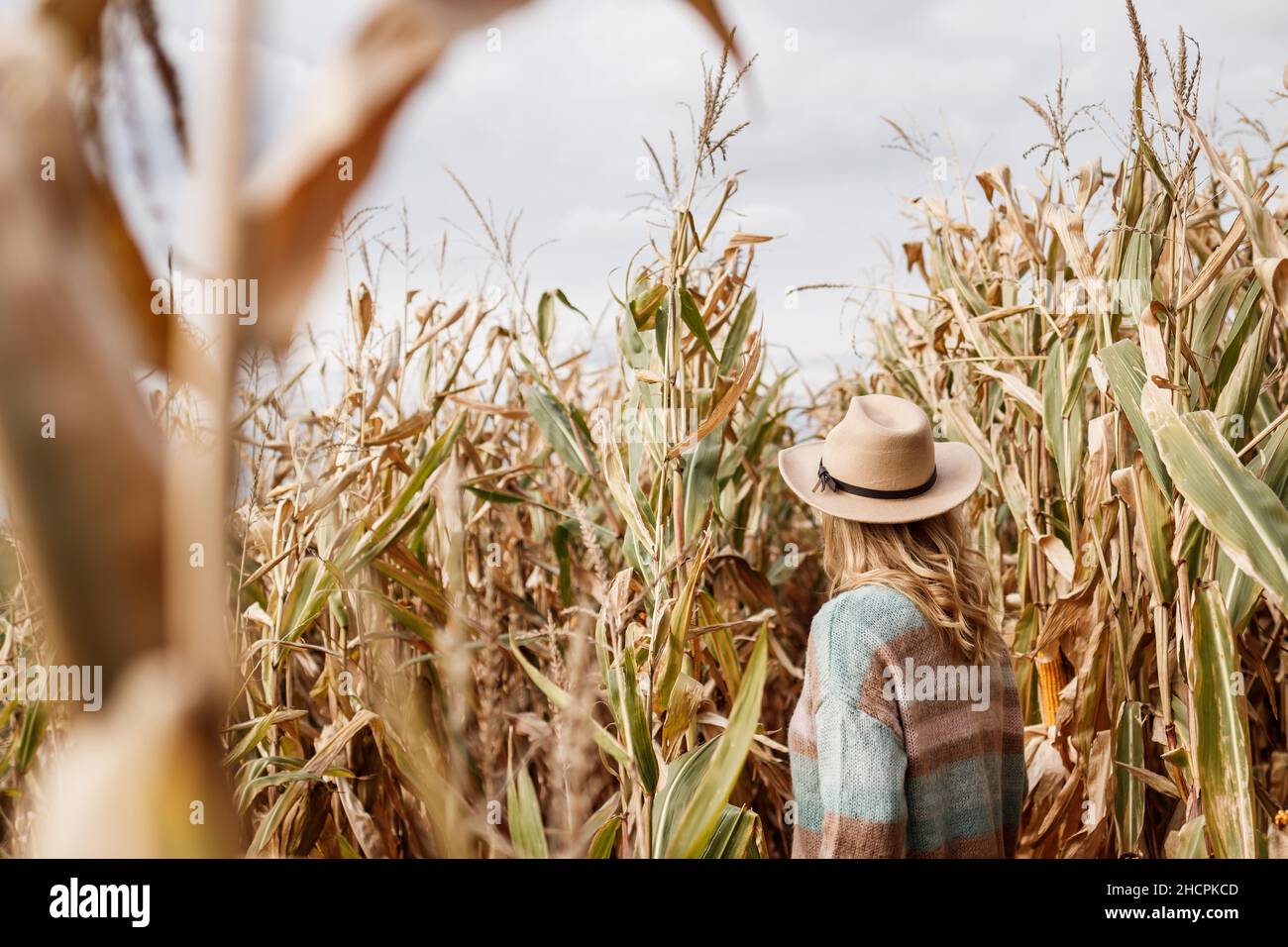 Corn field woman sky hi-res stock photography and images - Alamy