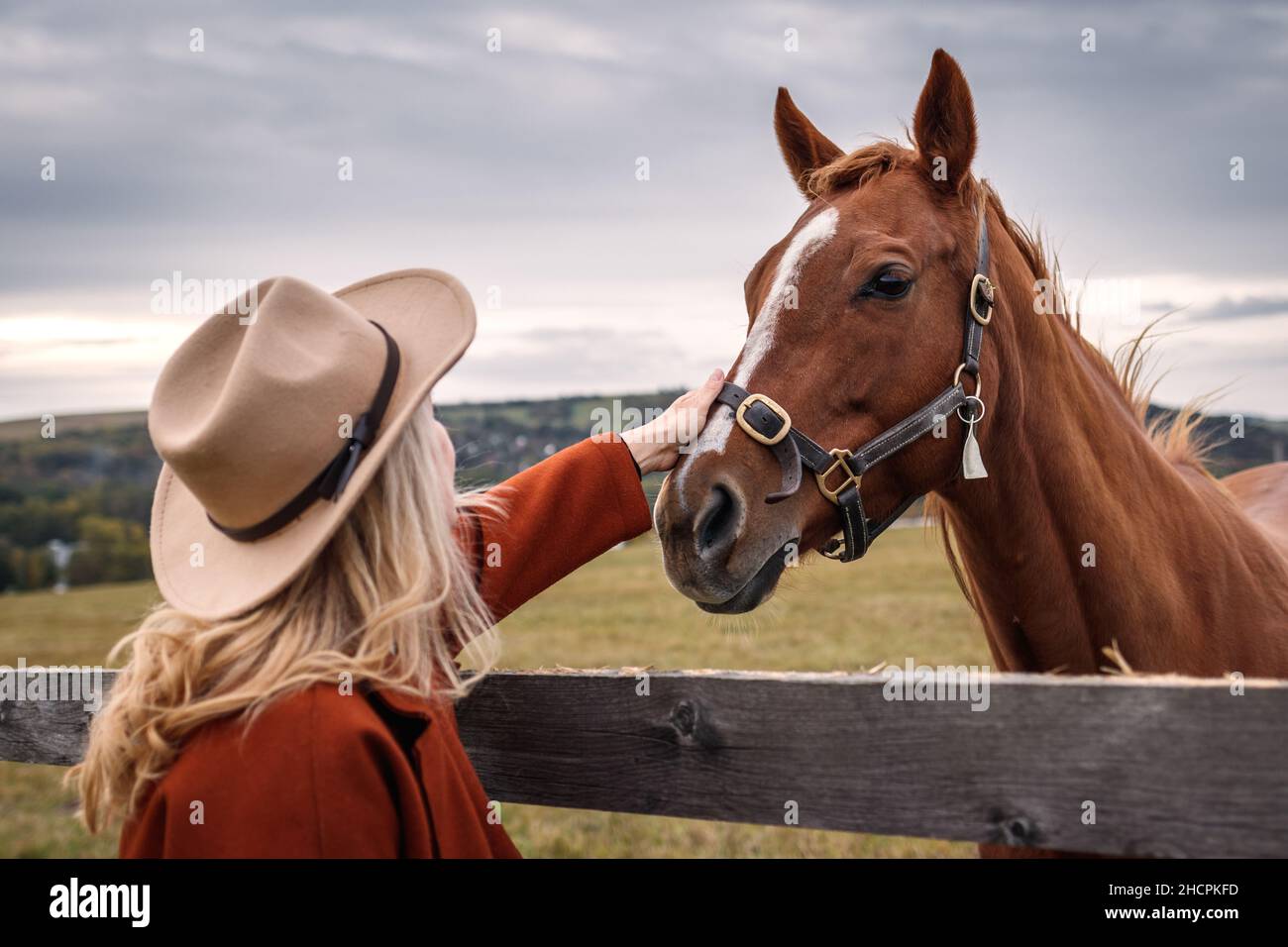 Woman with cowboy hat stroking her thoroughbred horse at ranch. Cowgirl ...