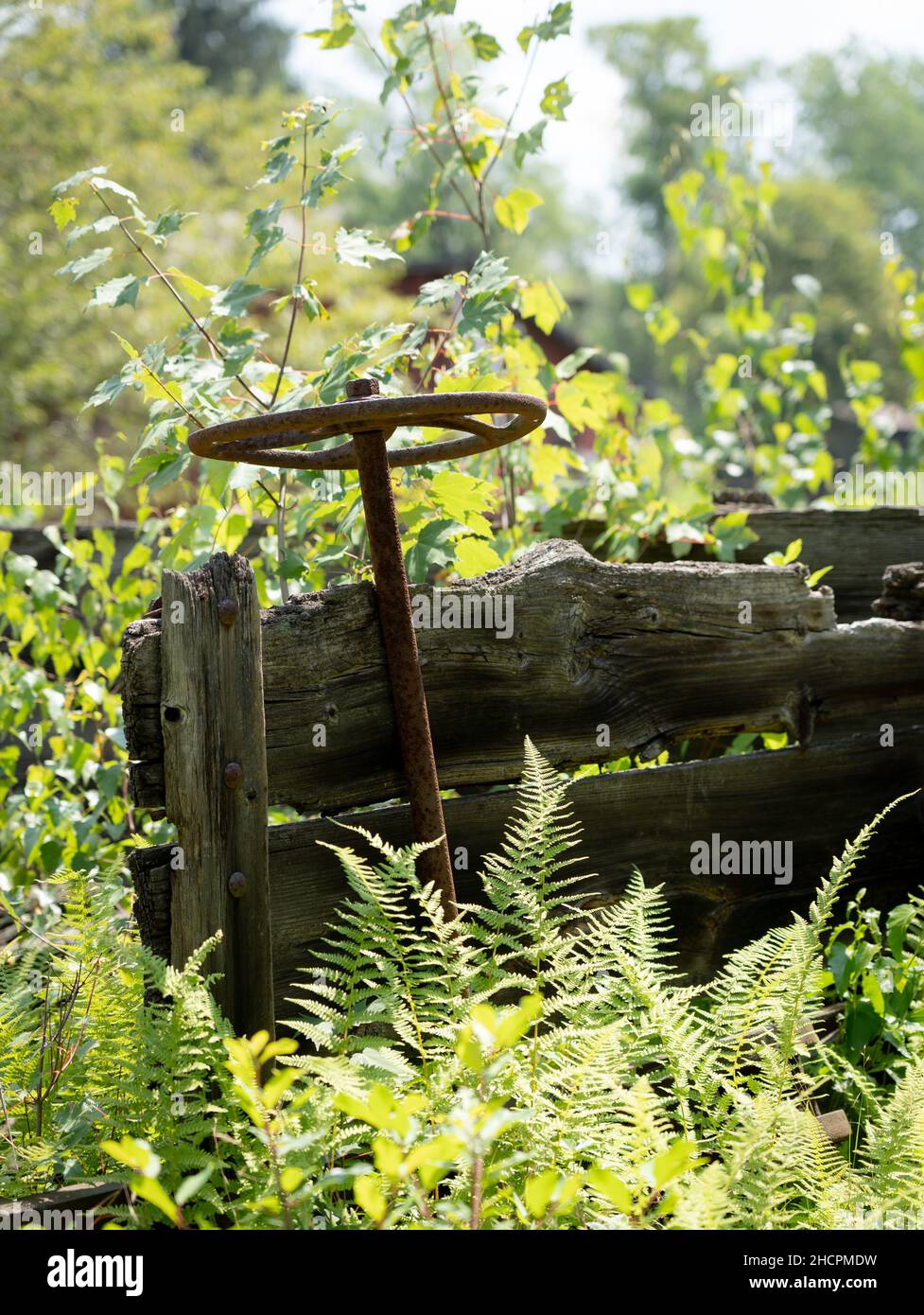 A Historic Wooden Ore Buggy with Iron Braking Wheel in the weeds Stock ...