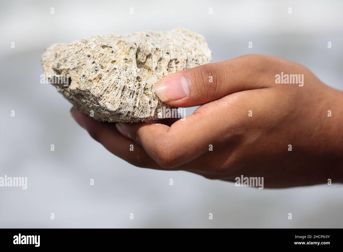 Child stone in hand hi-res stock photography and images - Alamy